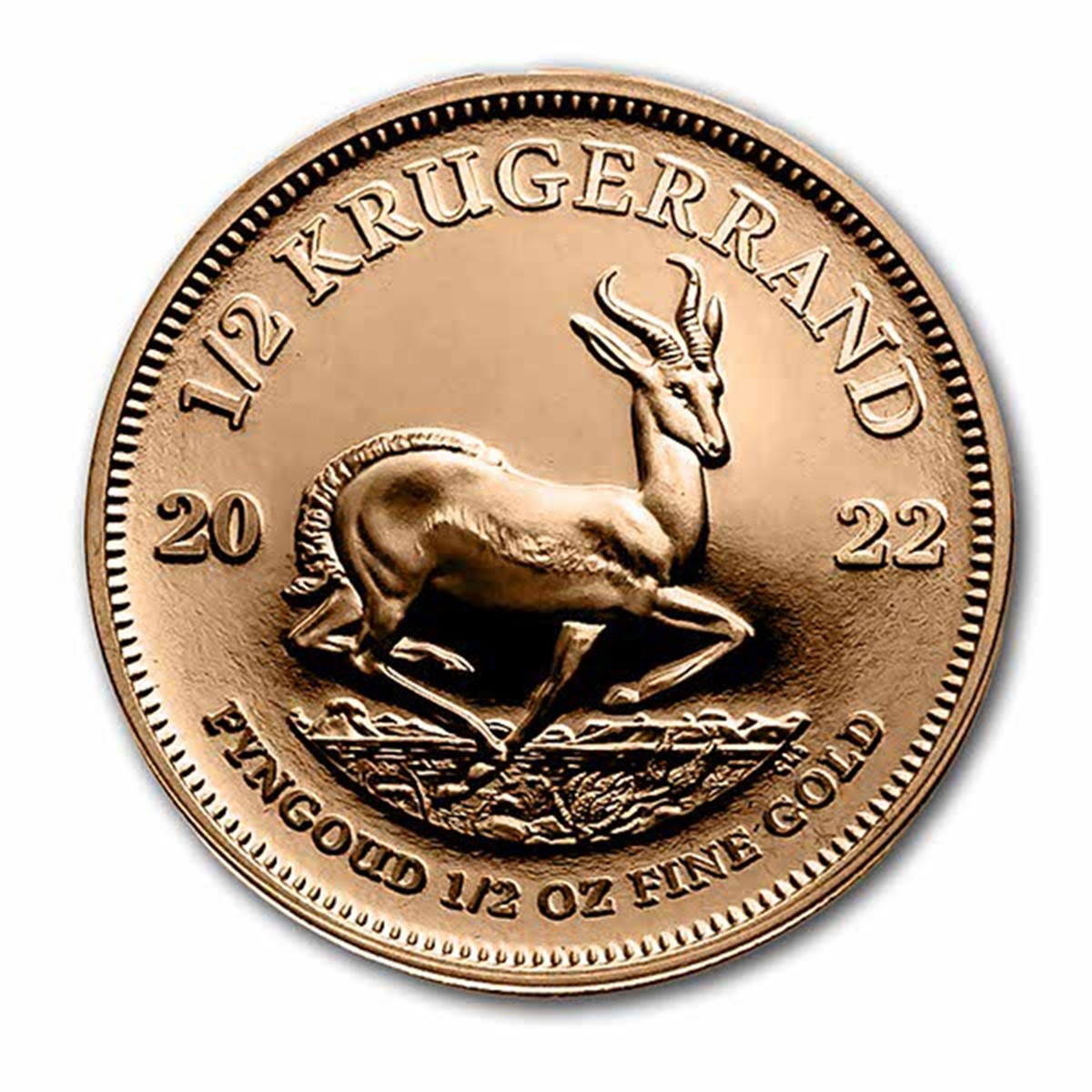2022 South African Krugerrand 1 2 Ounce Gullmynt 2022-south-african-krugerrand-1-2-ounce-gullmynt